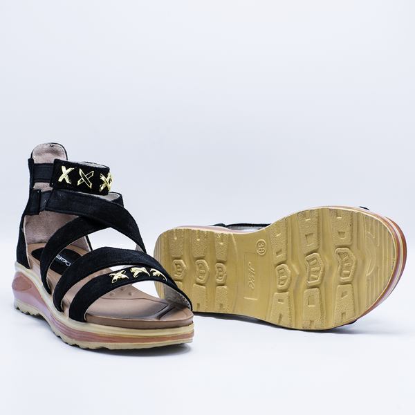 CL 282 – www.collections.pk